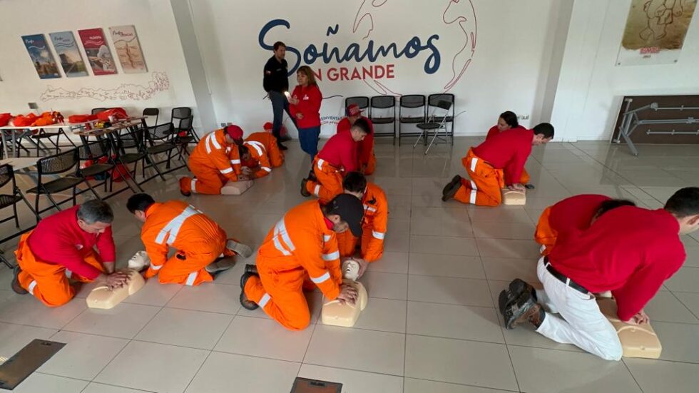 Curso de Técnicas Correctas de Primeros Auxilios RCP y DEA v2 - CEFIRE & RESCUE SCHOOL