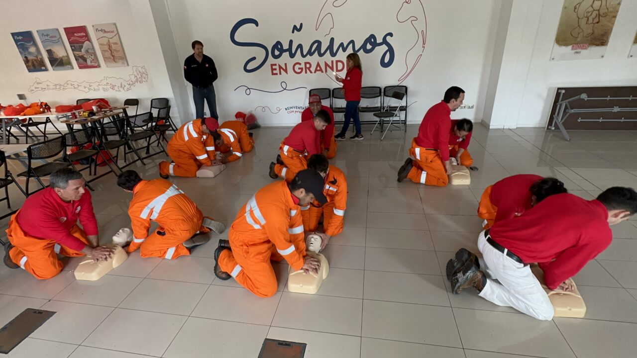 Curso de Técnicas Correctas de Primeros Auxilios RCP y DEA v2 - CEFIRE & RESCUE SCHOOL